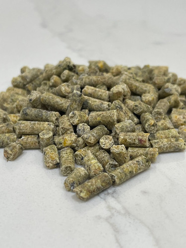 Poultry Layer Feed-Pellets | Rested Acres