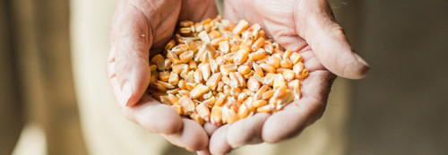 All Products | Rested Acres