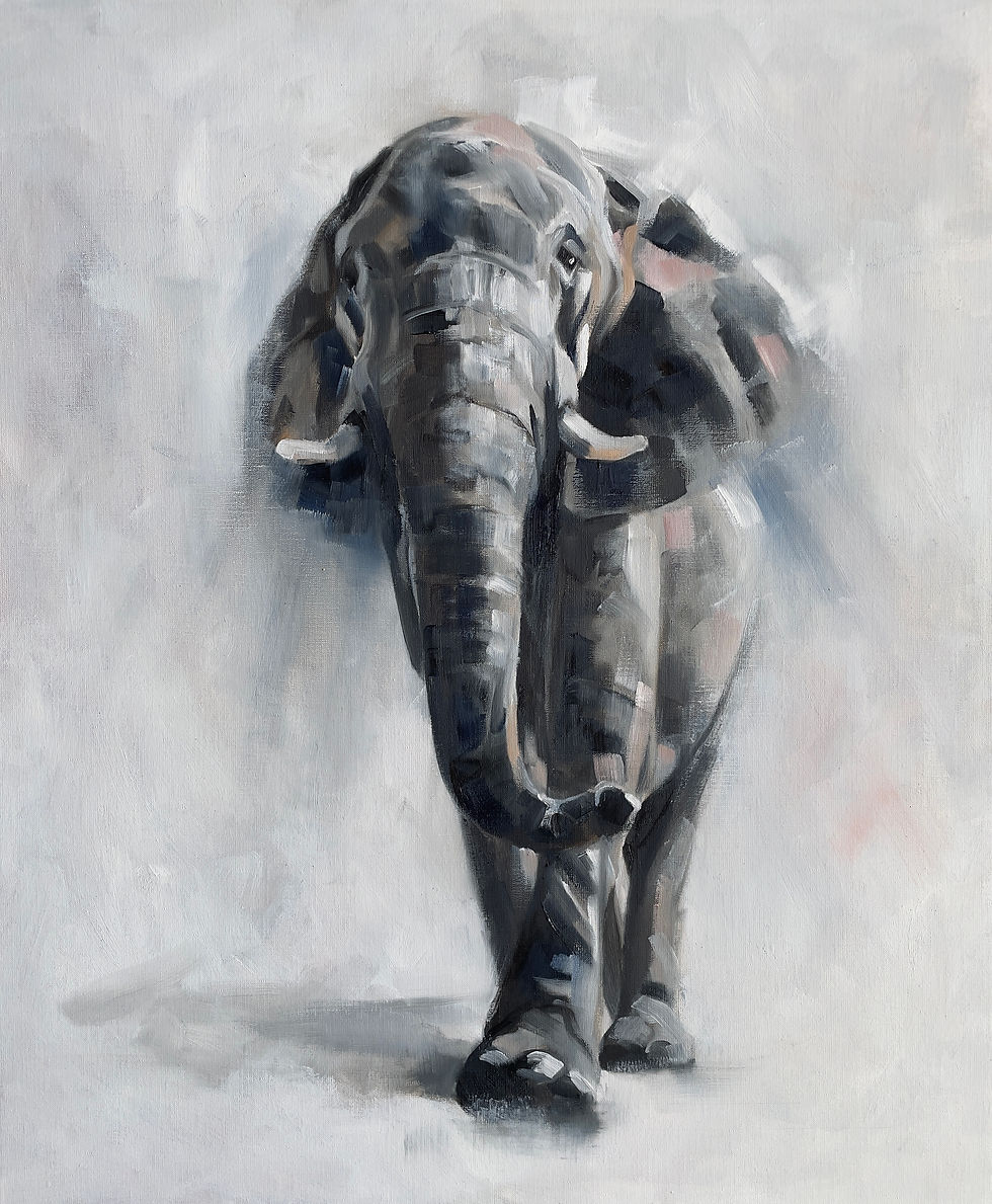 Shop | Julie Brunn Animal Artist