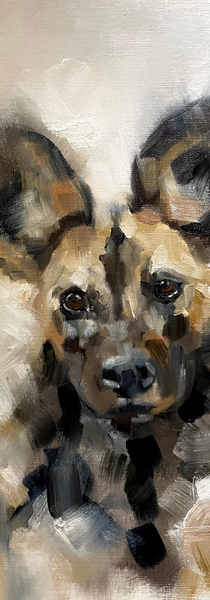 Wildlife Artist | Julie Brunn Animal Artist