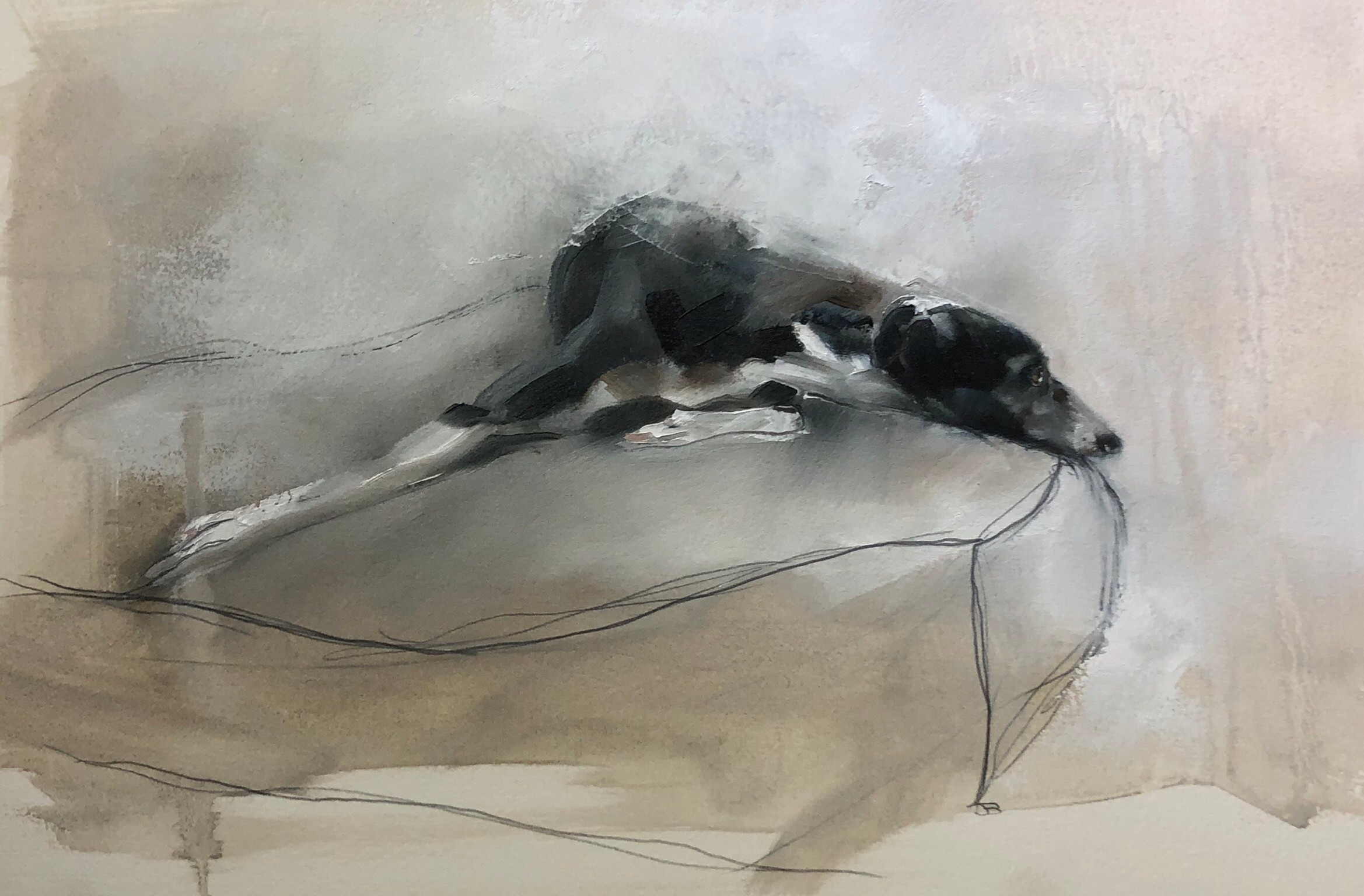 Wildlife Artist | Julie Brunn Animal Artist