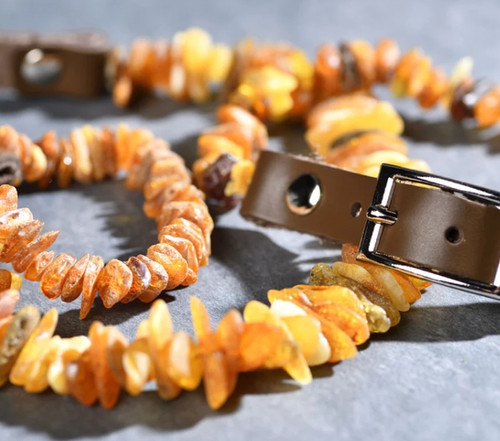 Baltic Amber Collar - Repel Ticks and Fleas | RAD’s DoggieDelights