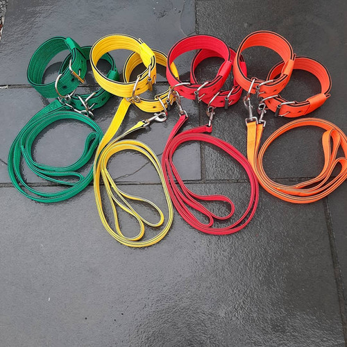 GK9CLASSIC Pin Buckle Collar and lead set 50mm | Gard K9 UK