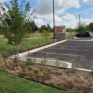 Cross Timbers Studio I Landscape Architecture I Texas