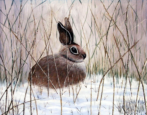 Rabbit | Paintings By Tymn