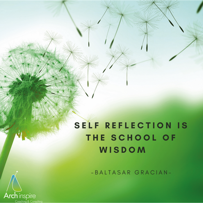 Self reflection is the school of wisdom