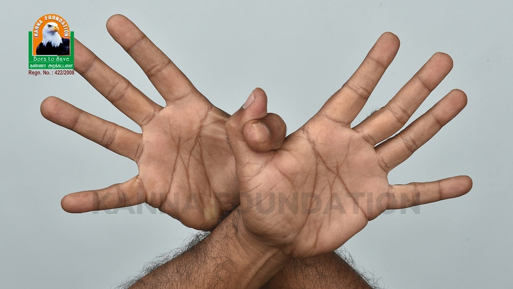 Garuda Mudra: The Secret to Better Eye HEALTH and Solution to Vision ...