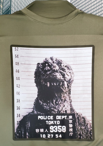 Godzilla Mugshot | 4T5 Printing