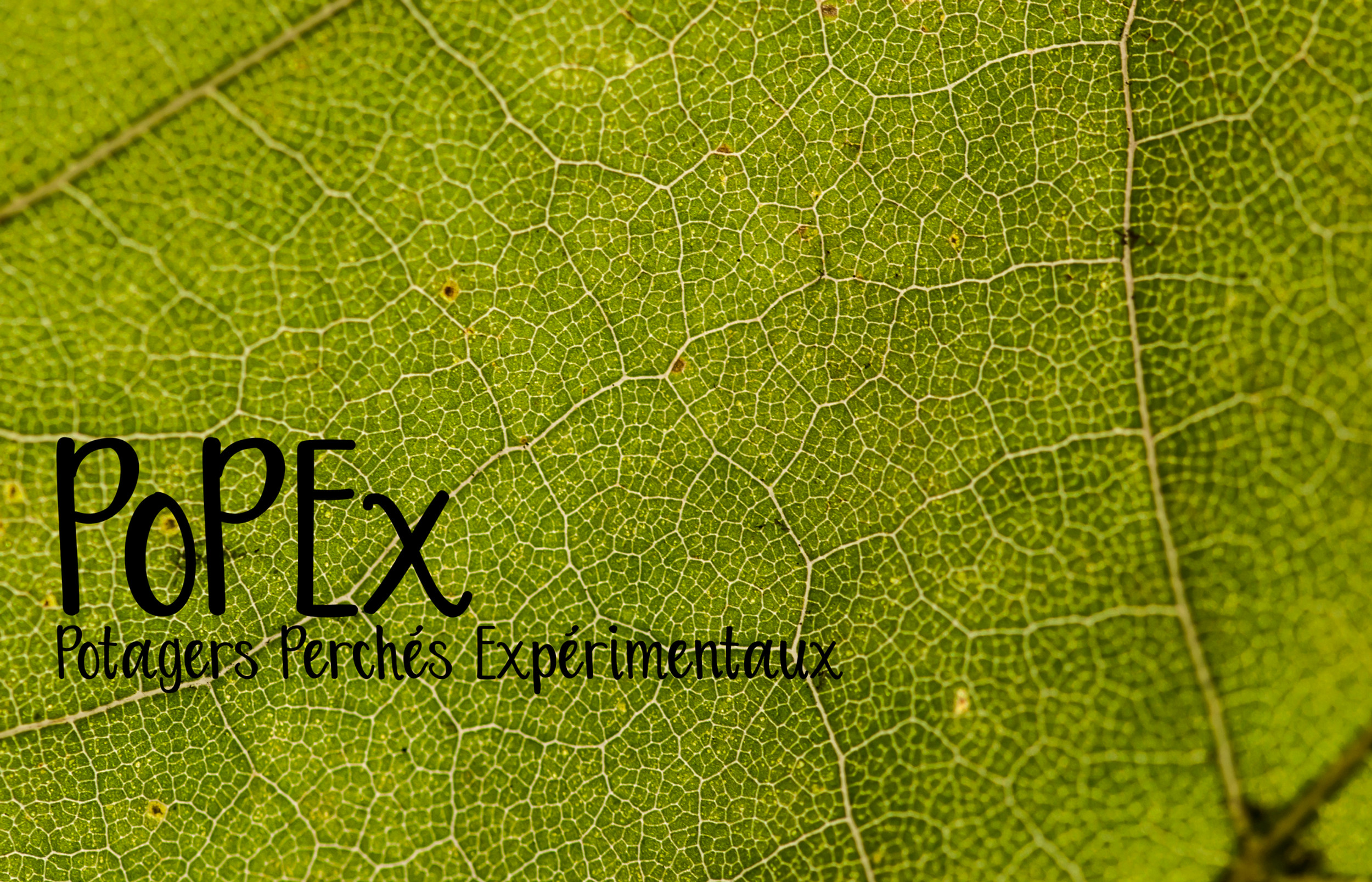 Popex | Toits potagers | Chambéry