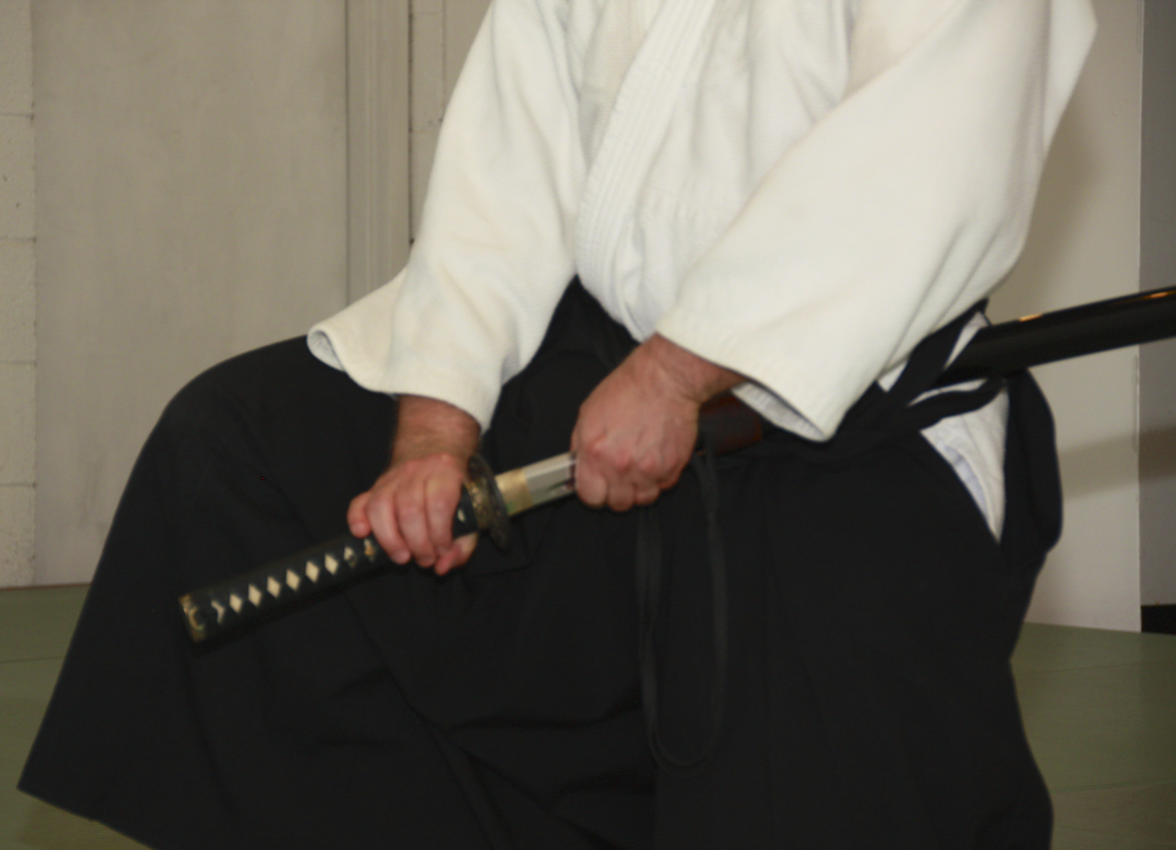Japanese Martial Arts | Ann Arbor | Huron Valley Aikikai