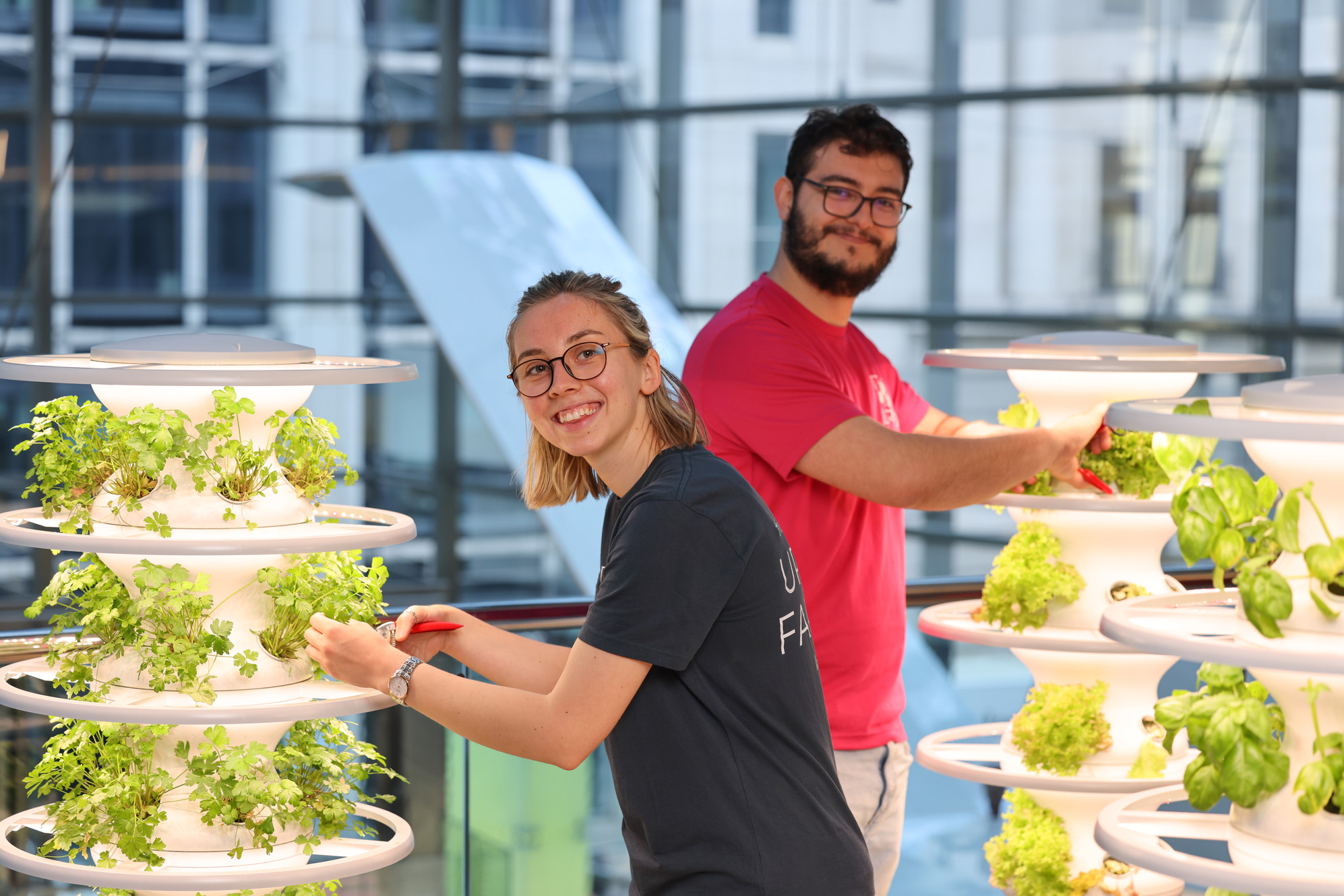 The Felix Farm | Pak Choi | Square Mile Farms