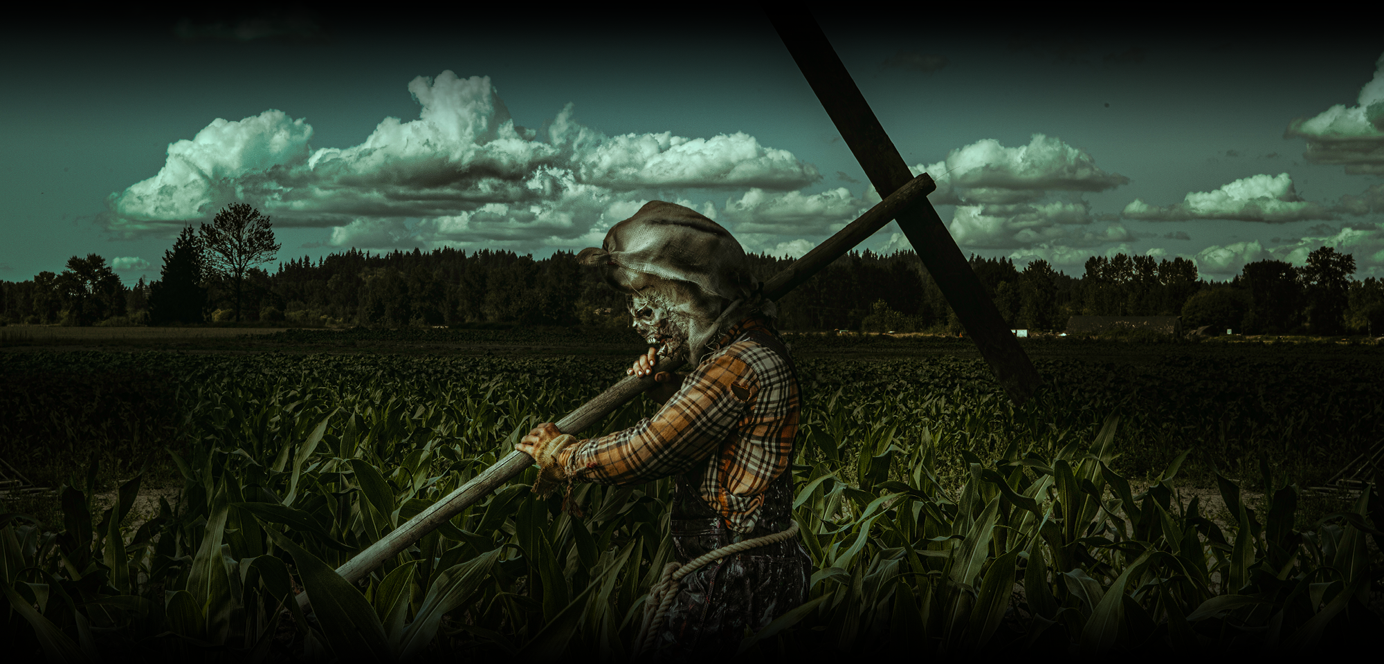 Stalker Farms | Snohomish, WA | Attractions