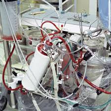 Prometric McQs in CARDIAC PROFUSION | McQs Prometric