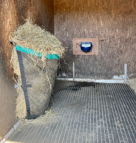 Nose Bagz Large Flat Wall Stable Hay Feeder | Nose Bagz