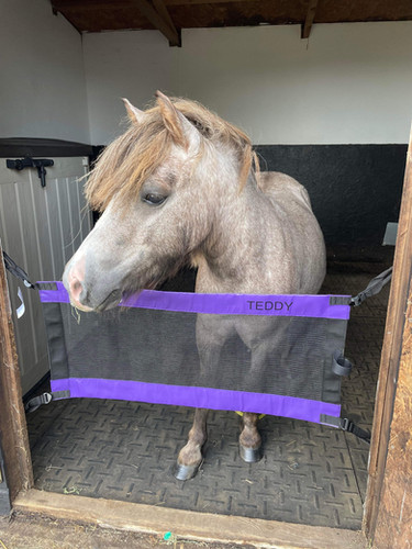 Nose Bagz Shetland Stable Guard | Nose Bagz