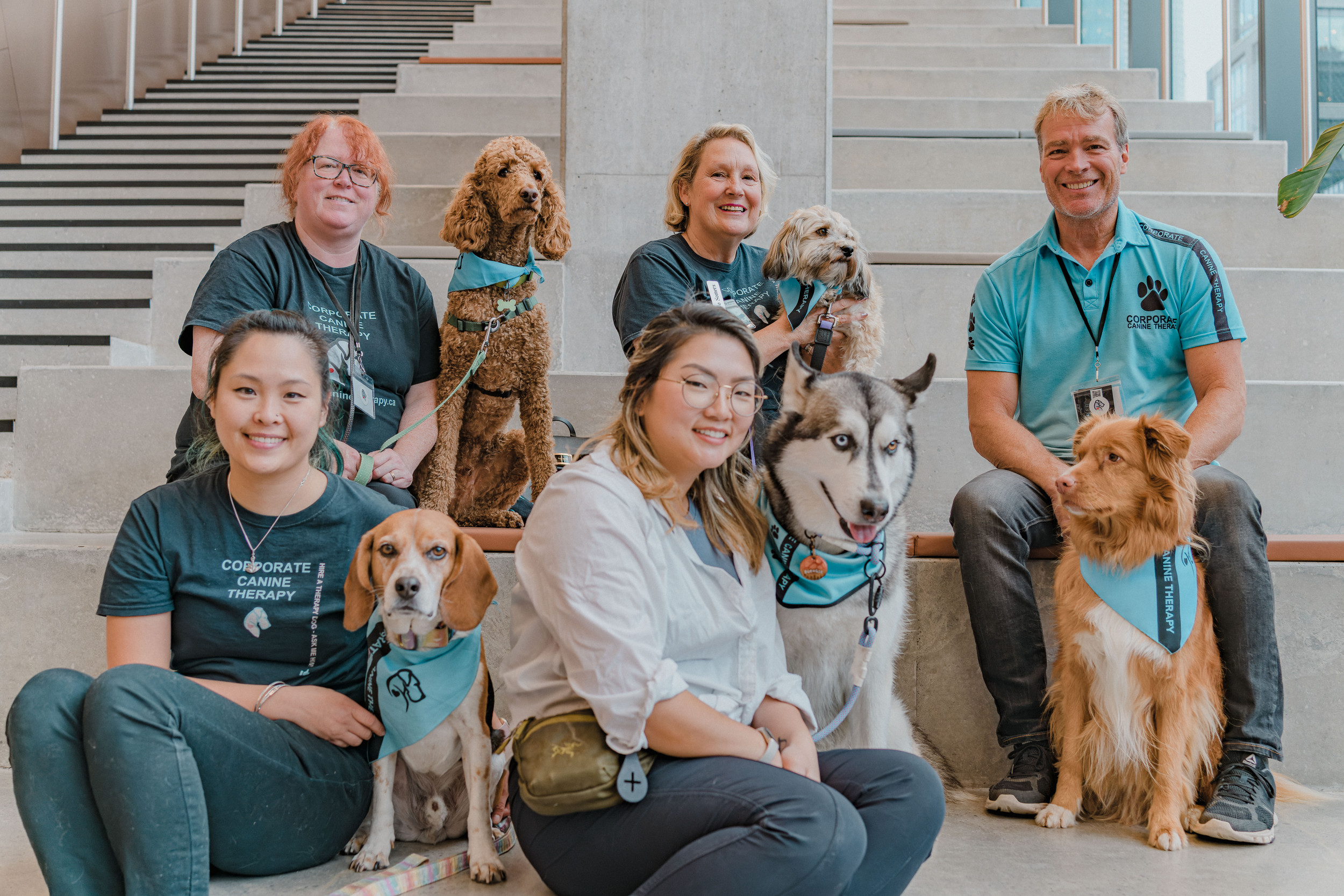 Meet Your Fur-Best Friend | Explore Our Toronto Therapy Dogs