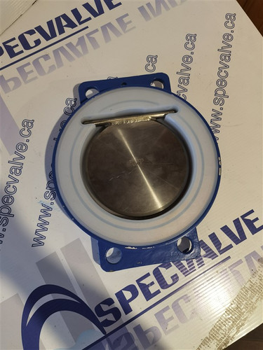 TECHNOVA 6" TITANIUM SWING CHECK VALVE | Specvalve Inc