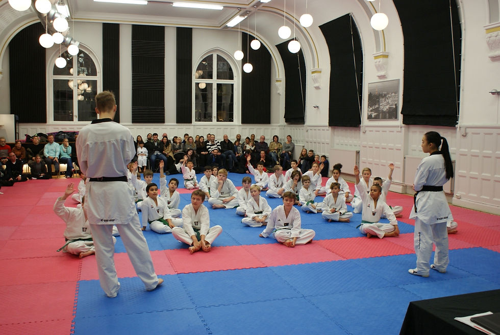 Gradering | Sverige | Malmö Taekwondo