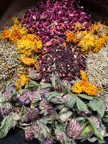 Dried Plants | Meraki Farmacy