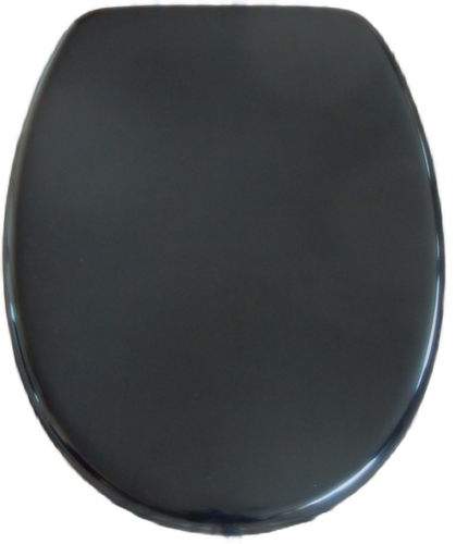 Vitra Riva Luxury Plastic Seat replacement with Normal-close stainless ... Vitra Riva Luxury Plastic Seat replacement with Normal-close stainless ...