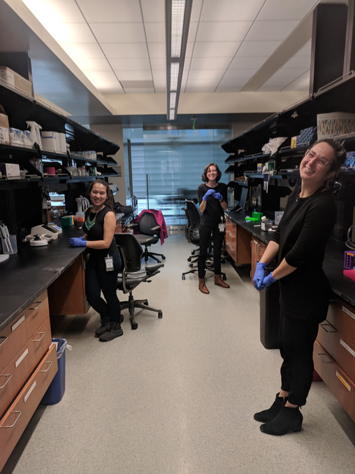 Gallery | Shipman Lab