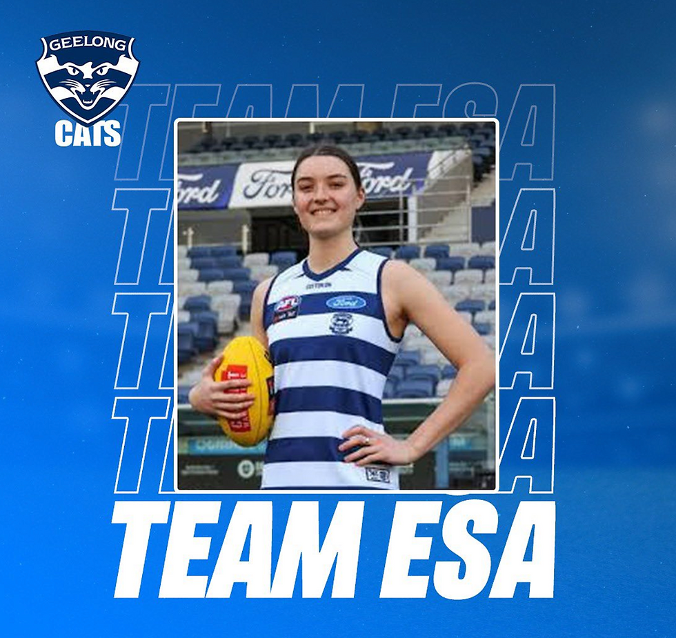 Couple of Cats join the team