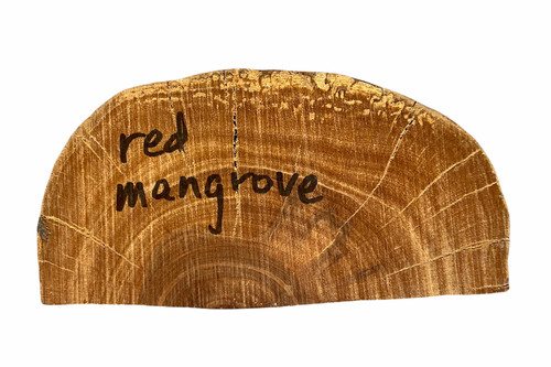 Red Mangrove | treetrimmers