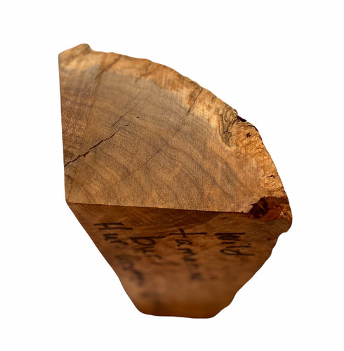 Wild Tamarind Burl | treetrimmers