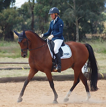 Committee | Young Dressage Association Inc.