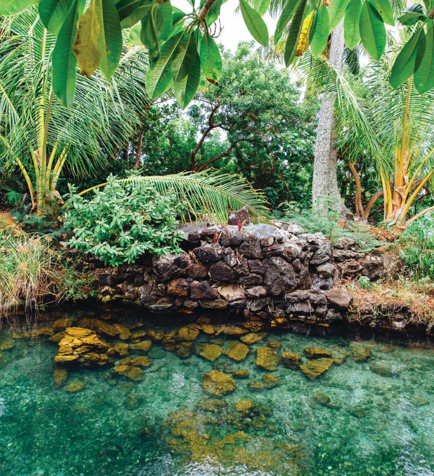 Journalist | Catharine Lo Griffin