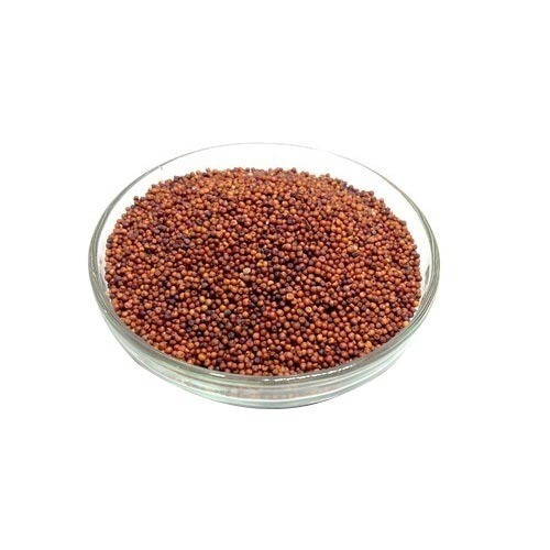 Ragi Seed 500GM | Haji Spices