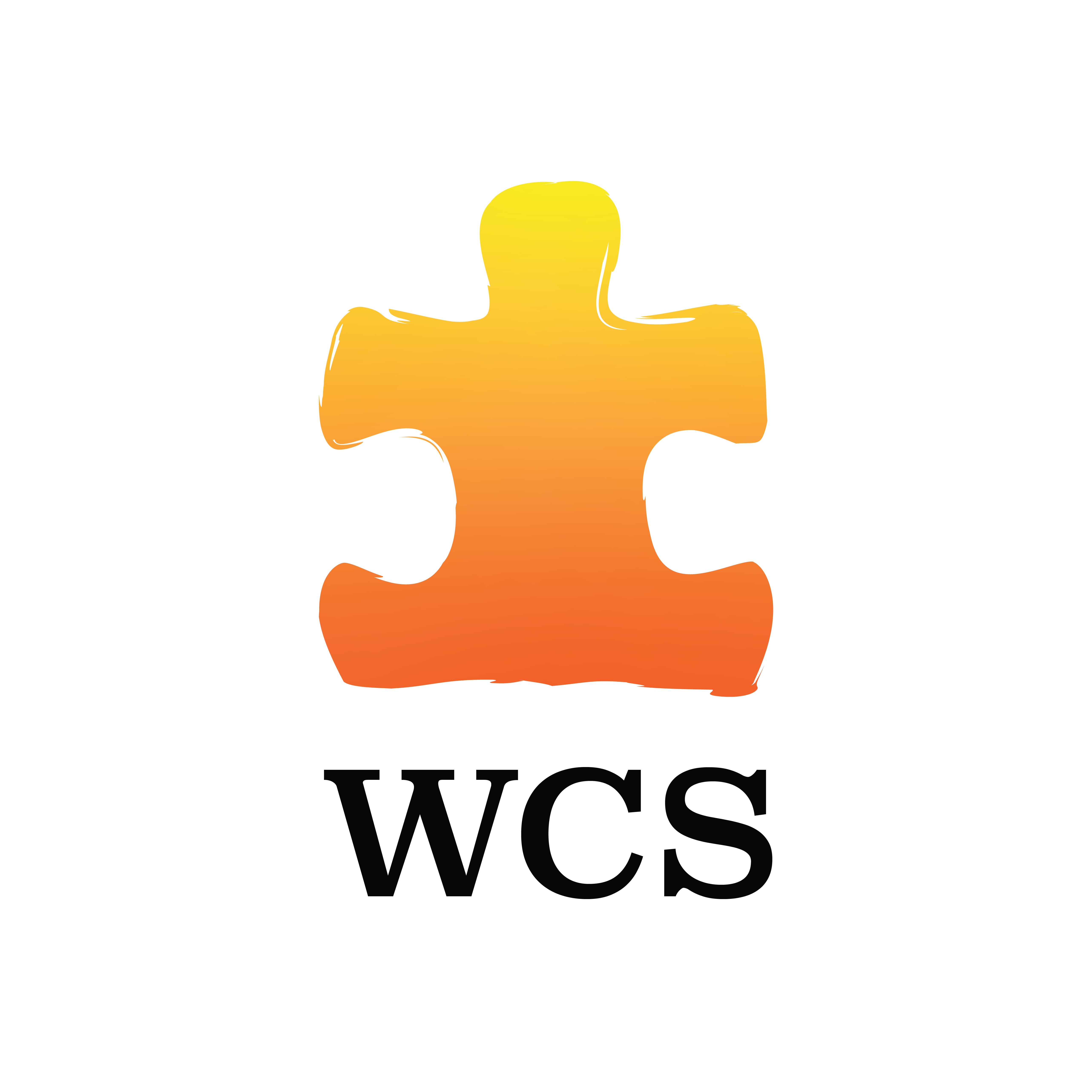 W3c Css Logo