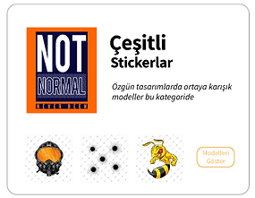 Kategoriler | Bay Etiket