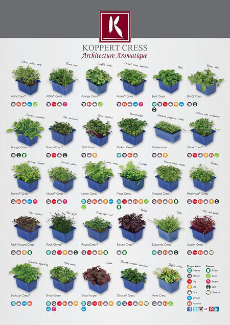 Koppert Cress Products (new) | Greens Produce Home