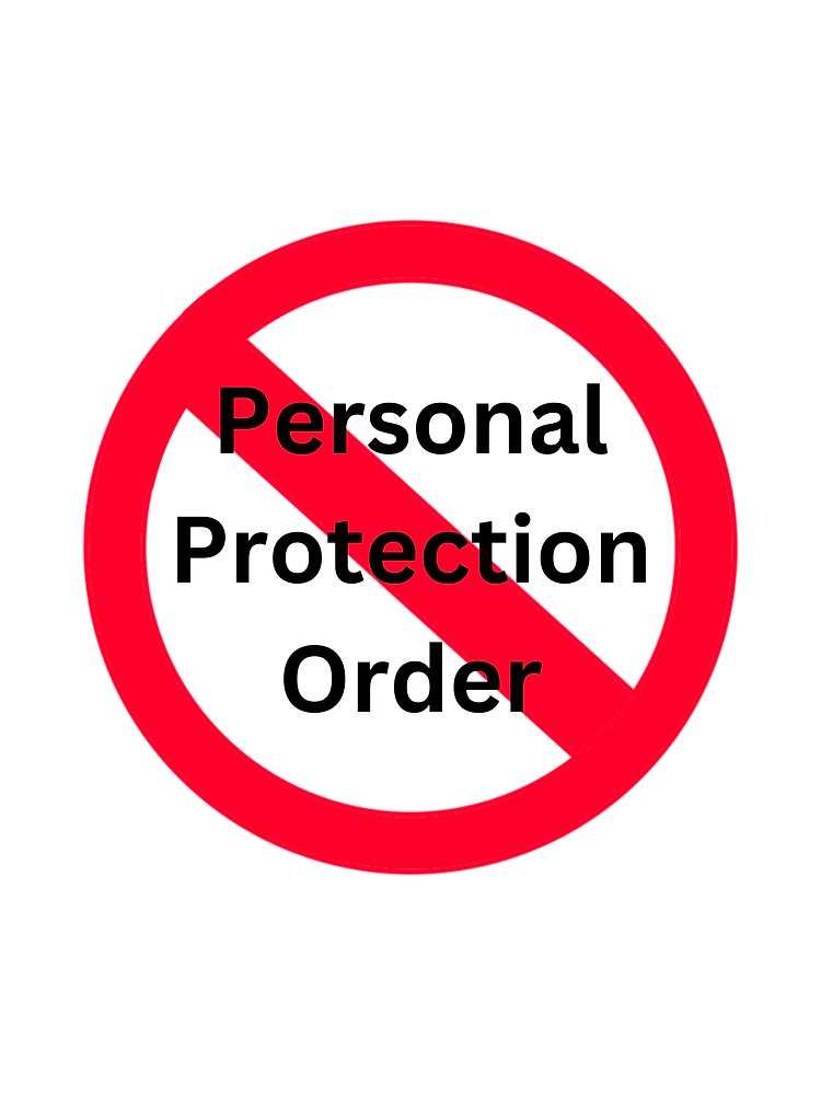 HOW TO BEAT A PERSONAL PROTECTION ORDER (PPO) IN MICHIGAN
