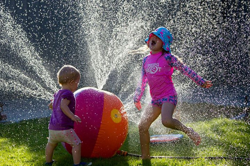 Backyard fun