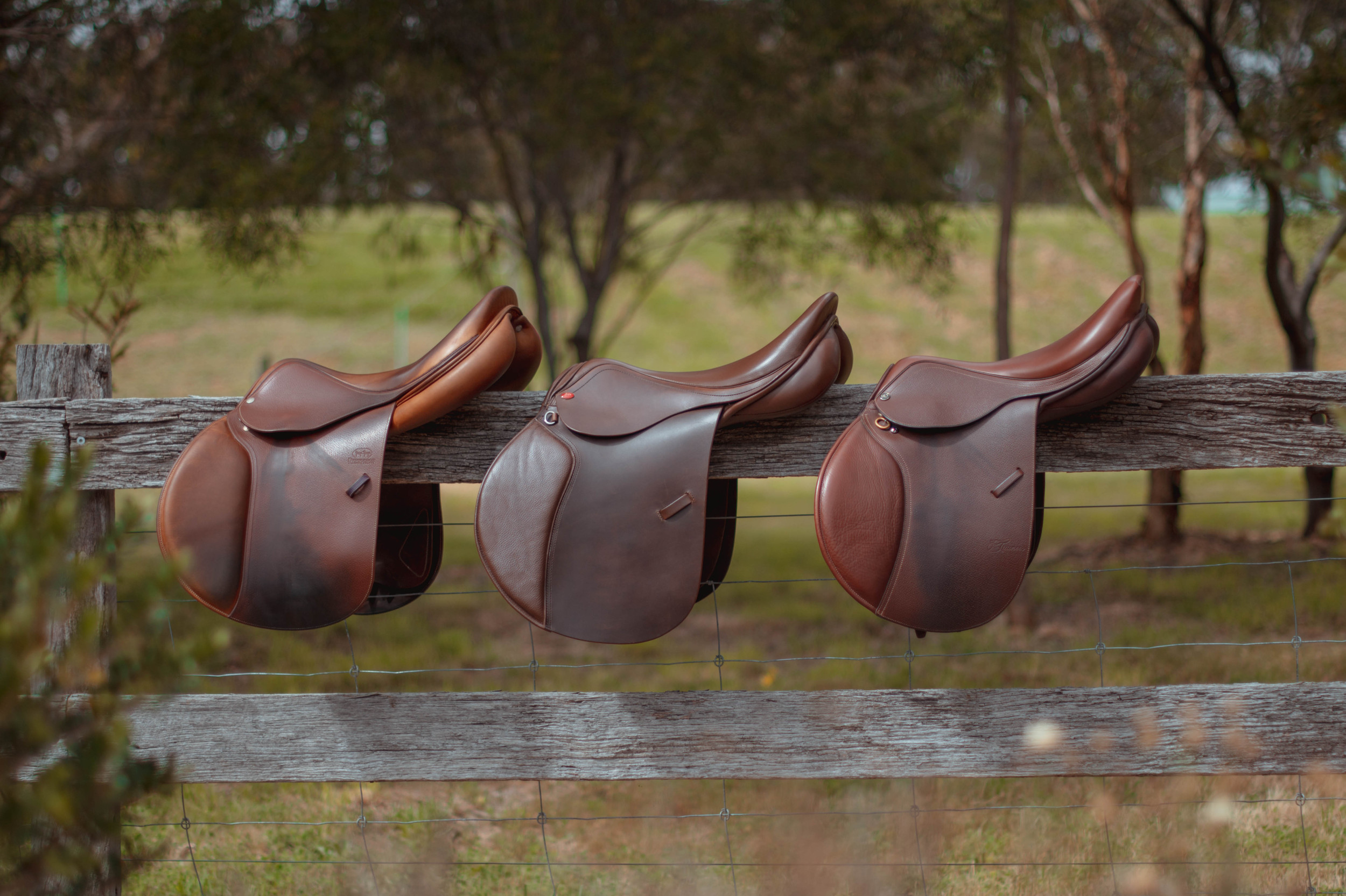 Jump Saddles & GP Saddles | Saddle Central