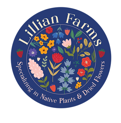 Lillian Farms | Strawberry Fields