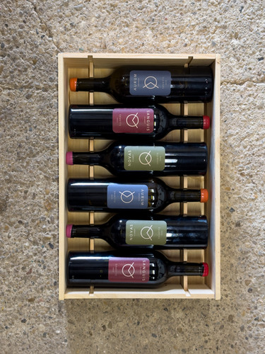 New Wave Box of 6 | Shuette