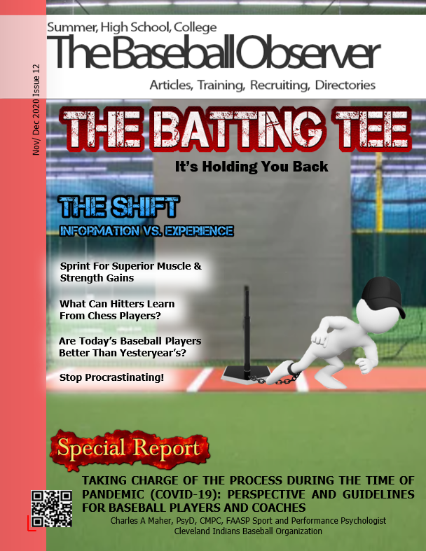 The Baseball Observer