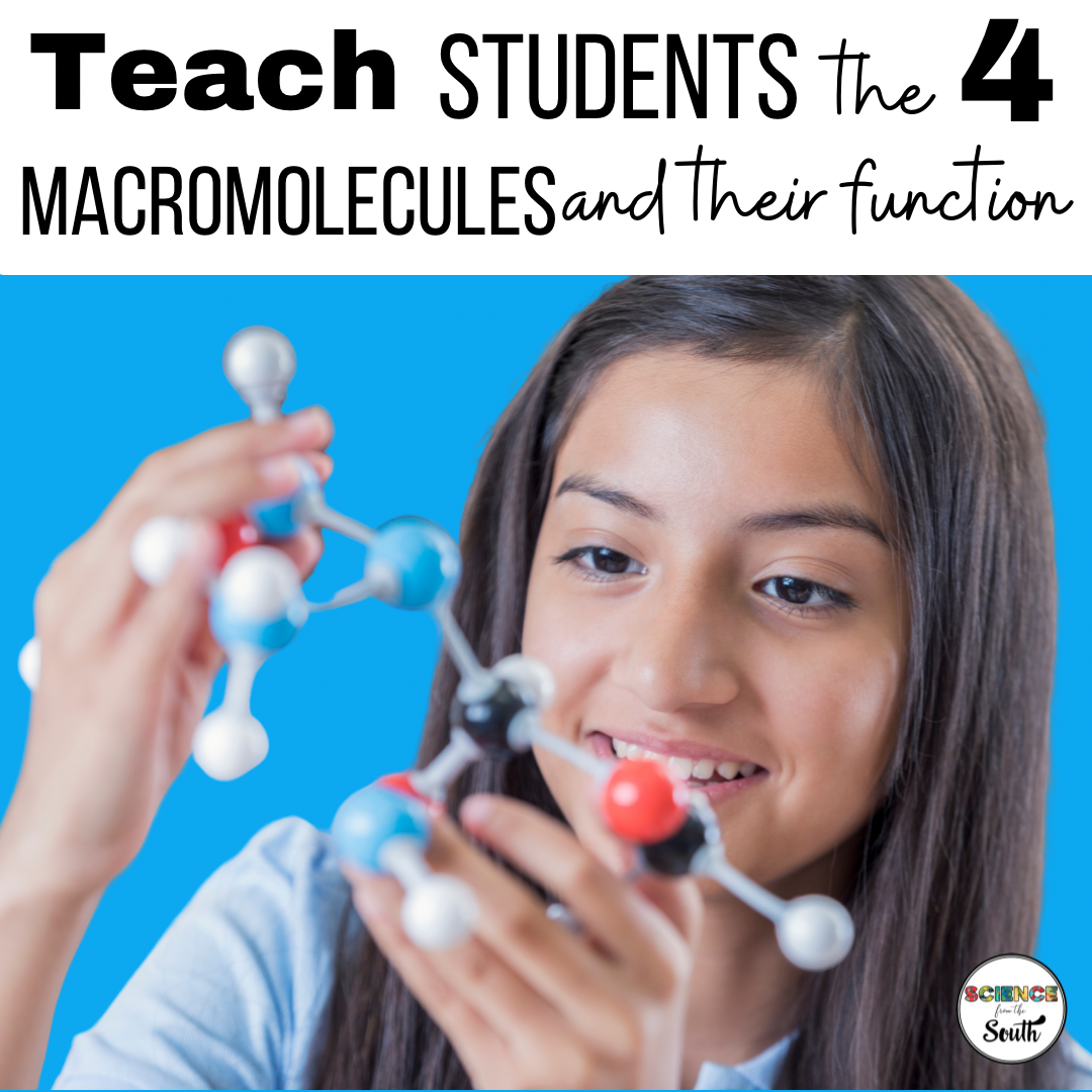 Teach Students the Four Macromolecules and Their Functions