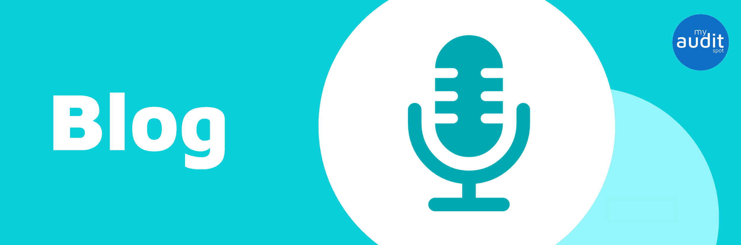 My Audit Spot | Internal Audit | Blog