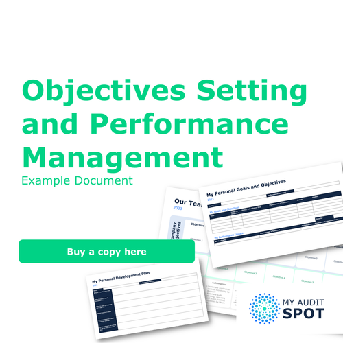 AFM18 - Audit Objectives and Performance Management | My Audit Spot