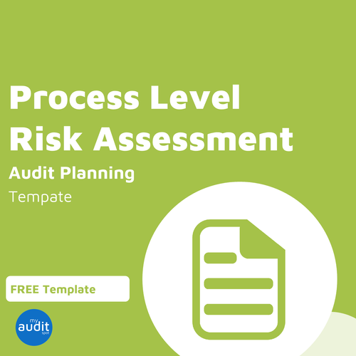 B3.1 -Process Level Risk Assessment | My Audit Spot