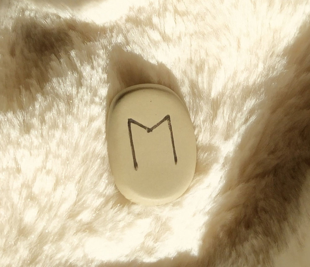 Rune EHWAZ, EHWO, EH, EOH, OE, AIHWS, EHOL, EHWAR, EOL : significations ...