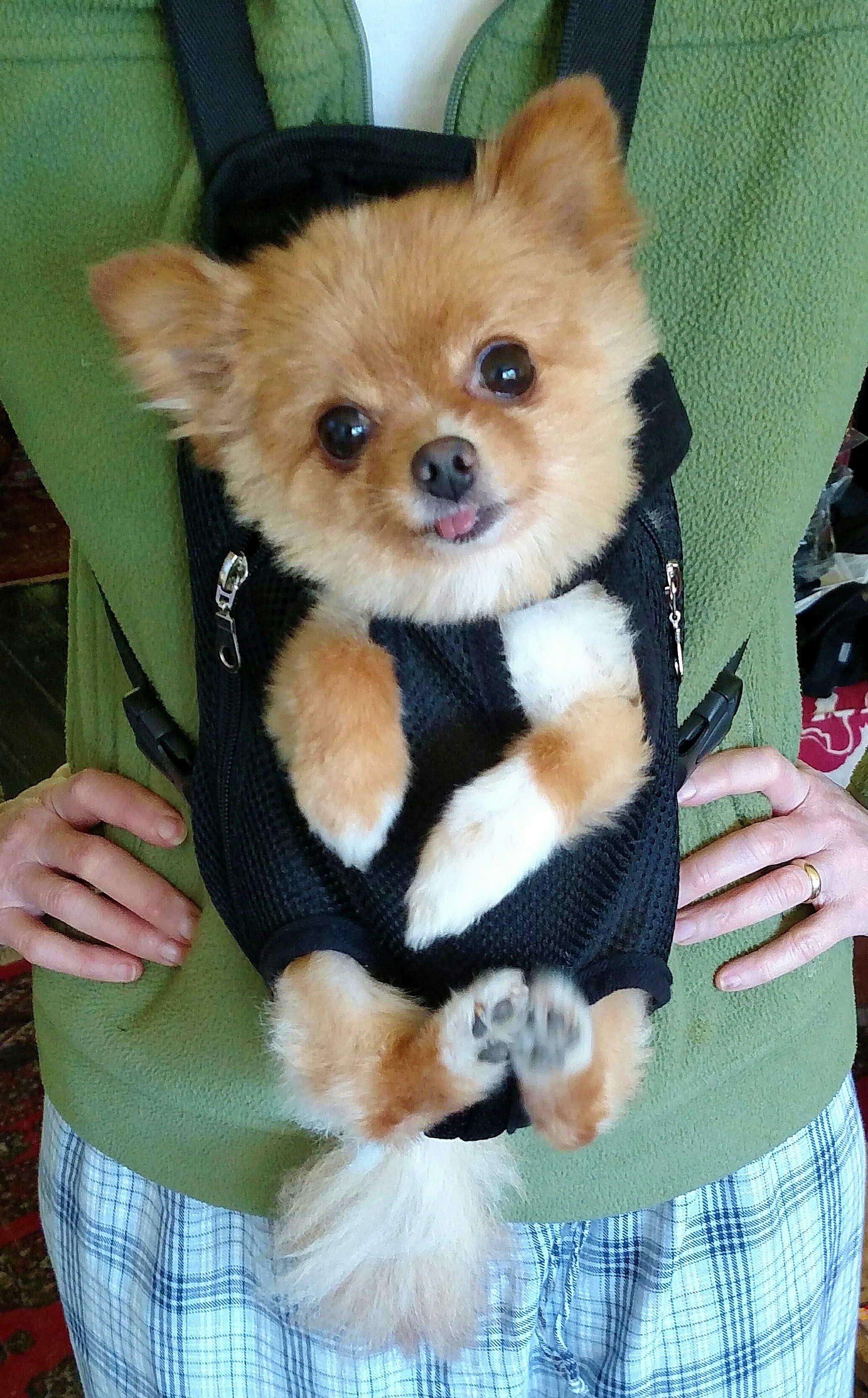 SHOP | yapperwrapper