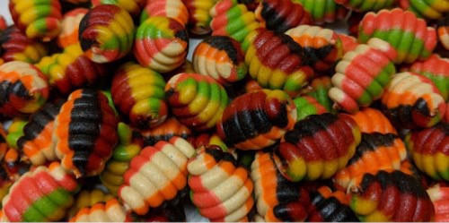 FRUIT SPECIAL PUPAE GRUBS | ADDIKT CARPING