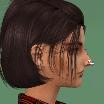 DEFAULT NOSE SLIDER