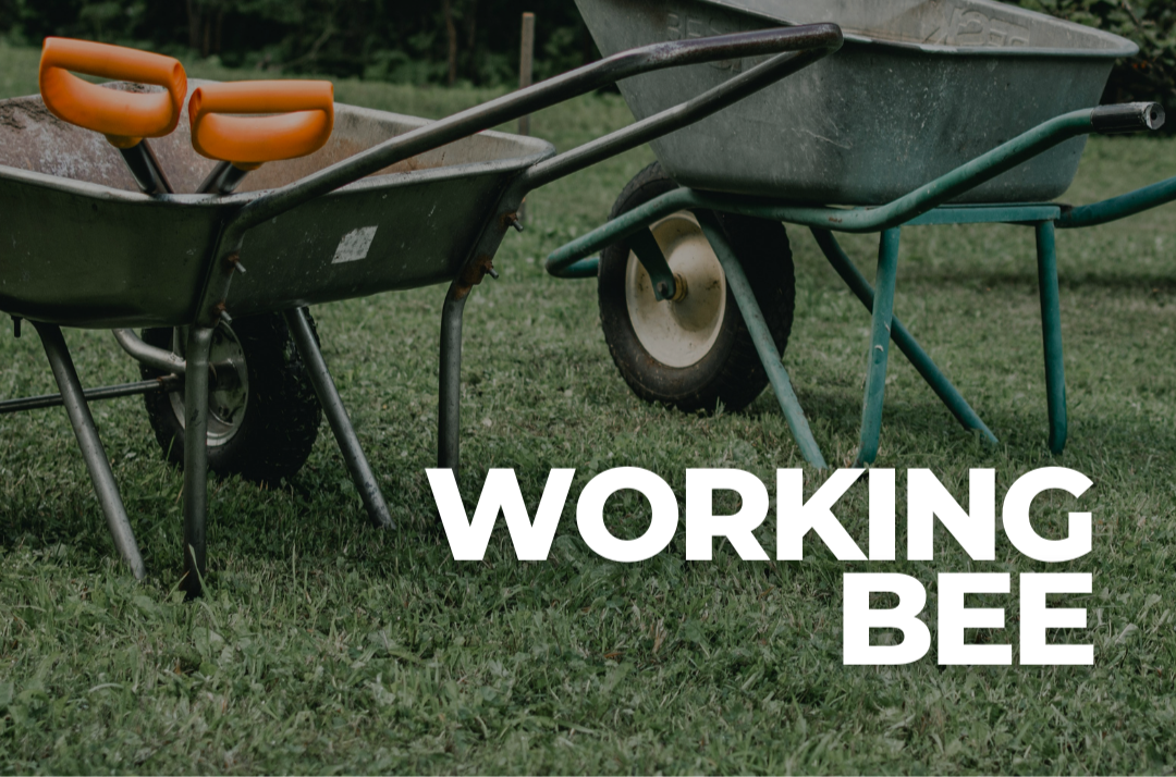 Working Bee | The Village Church