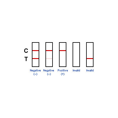 Pregnancy Testing | BabyMad.com | Heywood, UK | Drug Test Kits